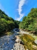 홍천 공작산 수타사 생태숲 산소길 궝소 출렁다리 편하게 산책하기 좋은 곳 네이버 블로그
